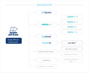 IR2018 Anglo African Ltd | » Group Structure